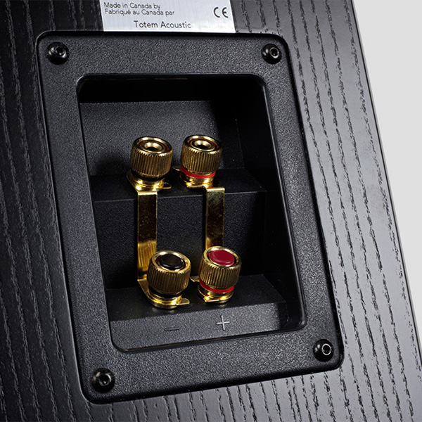 Totem Acoustic BISON TOWER (SW) Bison 2-Way Tower Speaker